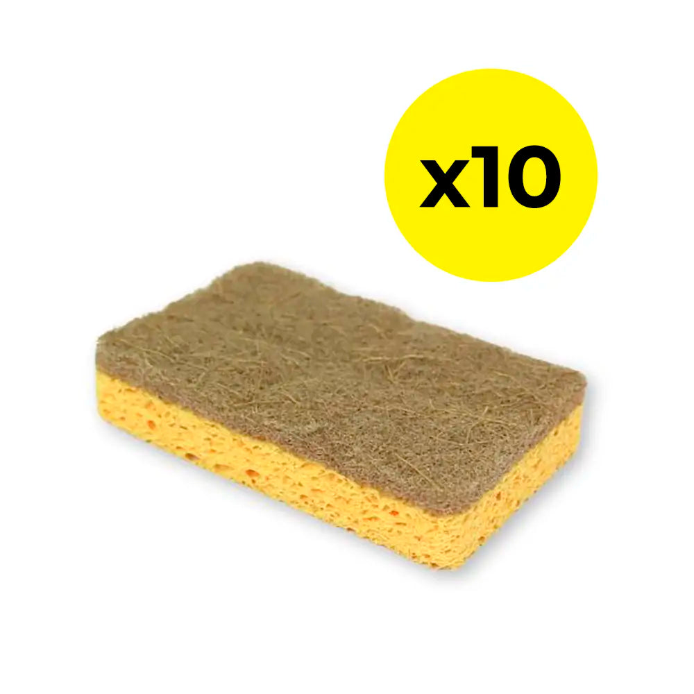Sponge Scourer - Pack of 10 – Out of Eden